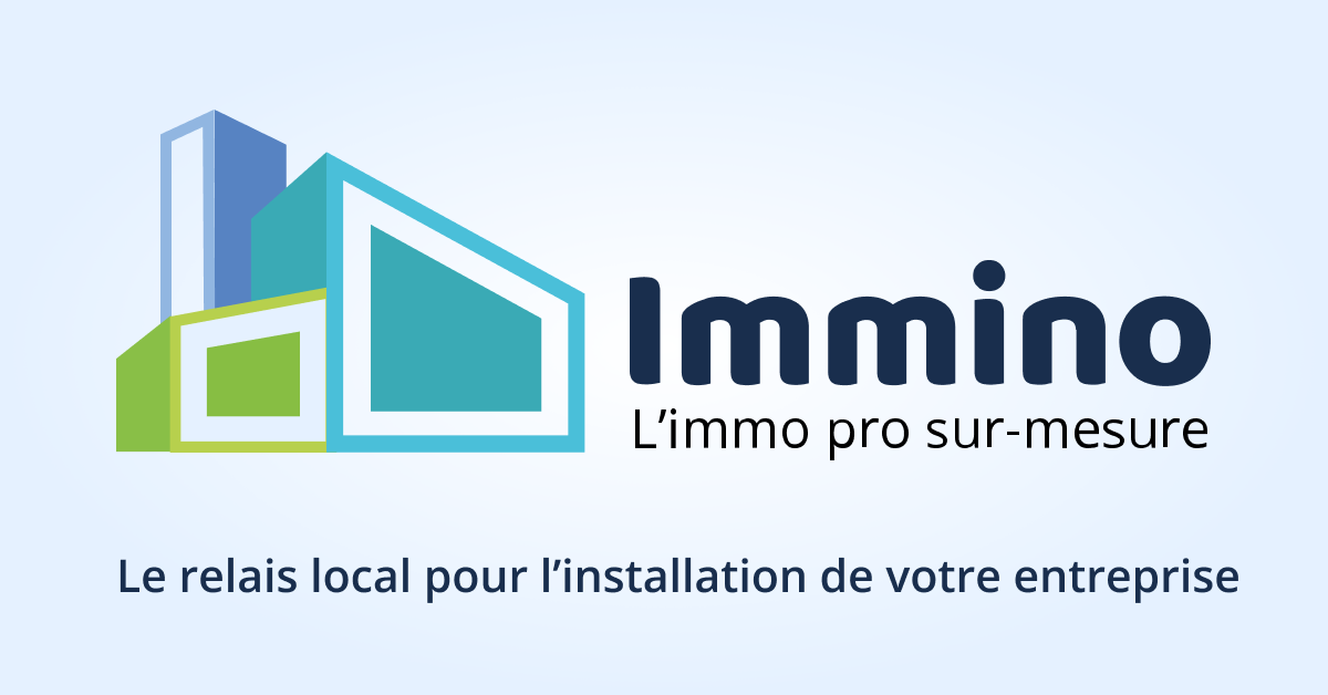 - Nicolas Pithois - Immino Pro